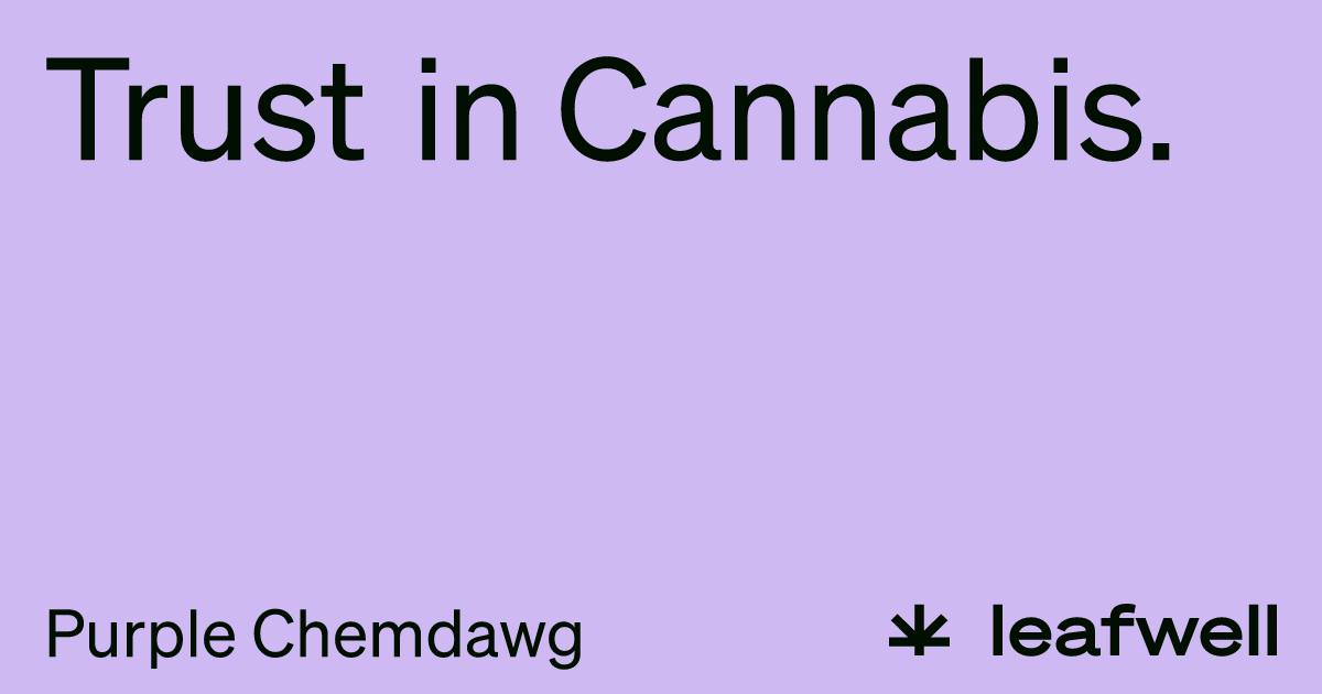 Purple Chemdawg Marijuana Strain, AKA Purple Chem - Leafwell
