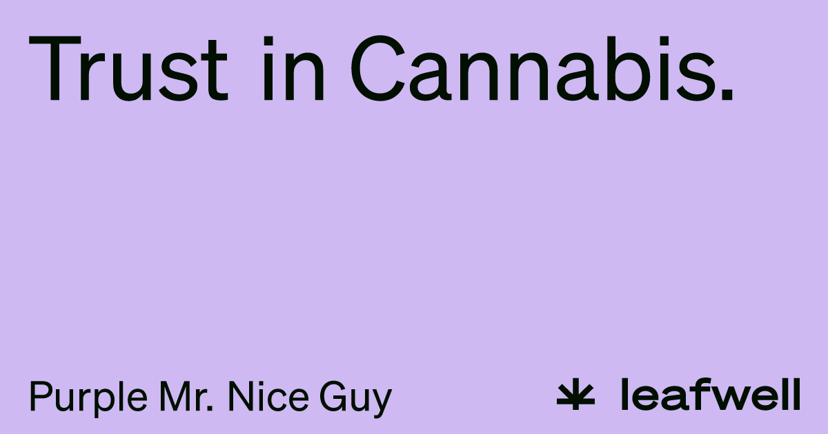 Purple Mr. Nice Guy Marijuana Strain, AKA Purple Nice Guy - Leafwell